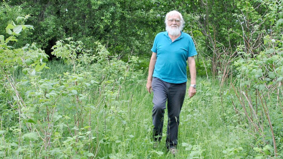 Ehrenpreis für Focke Focken: Auszeichnung fürs Unbequemsein ...