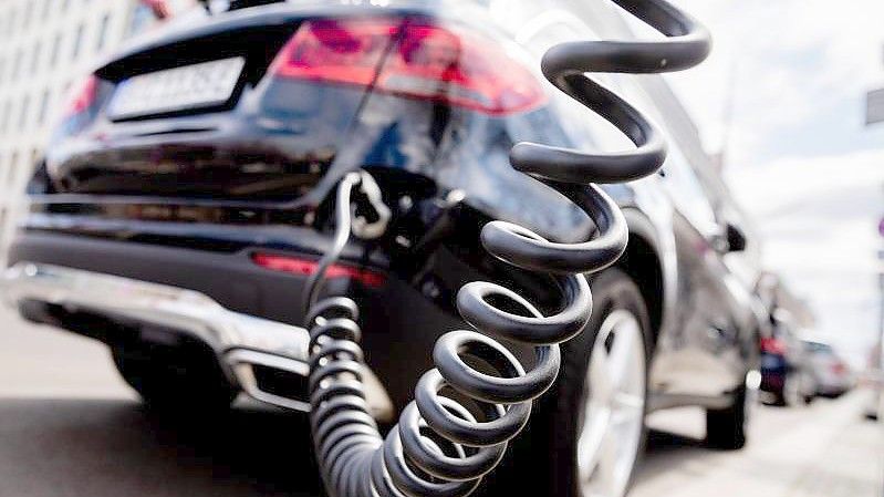 Neuzulassungen: Hybrid-Elektroantrieb erstmals vor Diesel - Ostfriesen ...