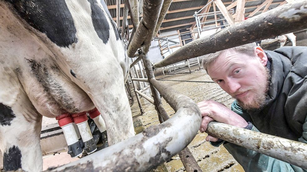 Landwirtschaft der Zukunft: Kühe melken sich jetzt selbst - Ostfriesen ...