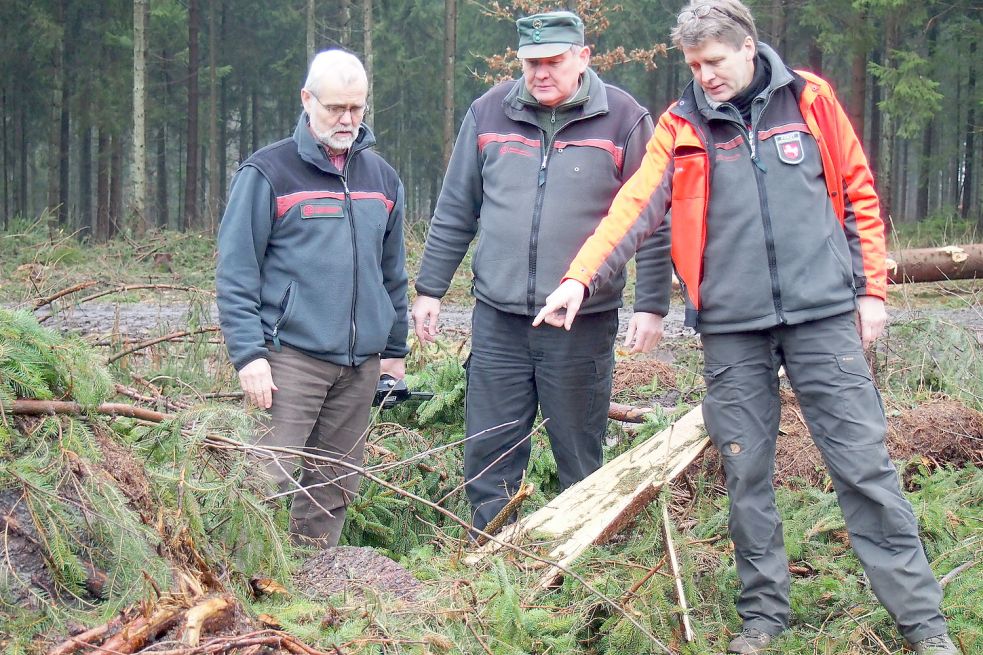 Wälder litten stark unter Christian und Co - Ostfriesen-Zeitung