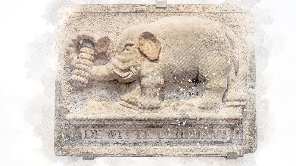 OZ-Serie „Nachgezählt“ Museen: Weißer Elefant trifft Schützenpapagei ...