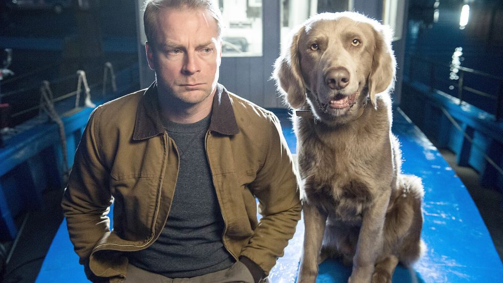 Hamburg: Ist Holly der Hund von Hinnerk Schönemann? Set-Besuch bei Herr ...