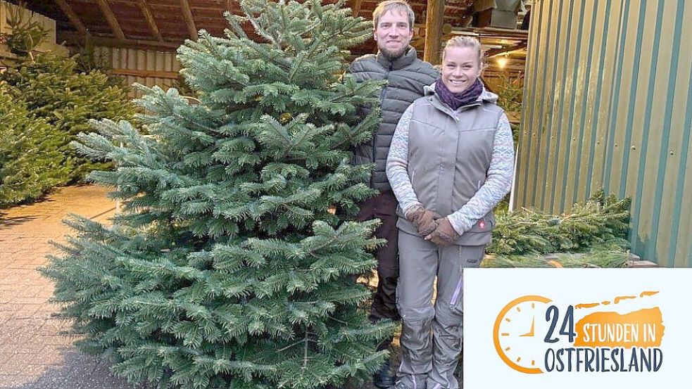 Von 15 bis 16 Uhr in Ostfriesland: Auf diesem Hof liegt immer etwas ...