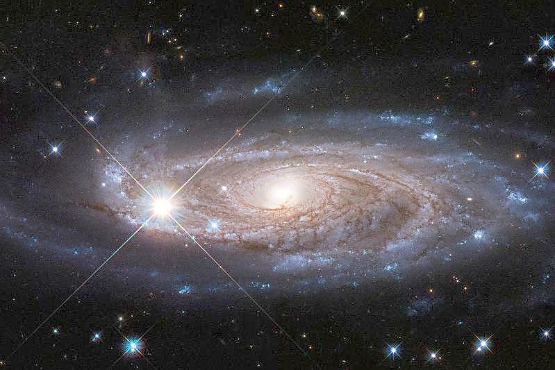 „Hubble“-Teleskop erspäht gewaltige „Godzilla-Galaxie“ - Ostfriesen-Zeitung